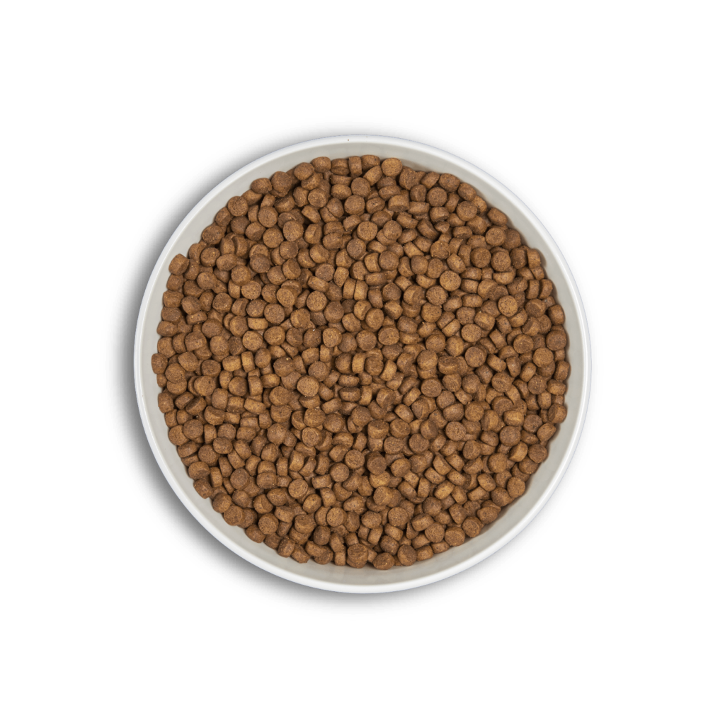 Guía definitiva para elegir el mejor alimento para tu perro - ERA Pet Food